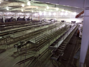 División Agrícola | KEGMA